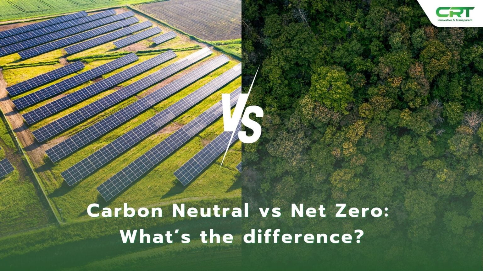 Carbon Neutral vs Net Zero: What’s the difference? - Carbon Registry ...